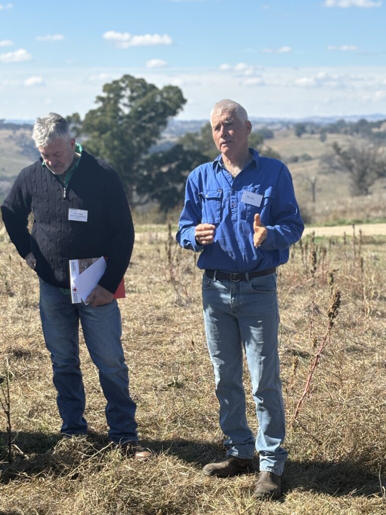 Grazing for Tomorrow: Empowering Graziers to Navigate Uncertainties ...