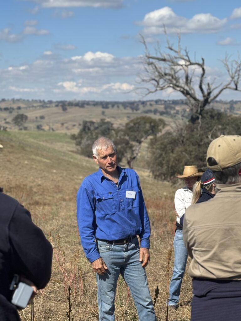 Grazing for Tomorrow: Empowering Graziers to Navigate Uncertainties ...