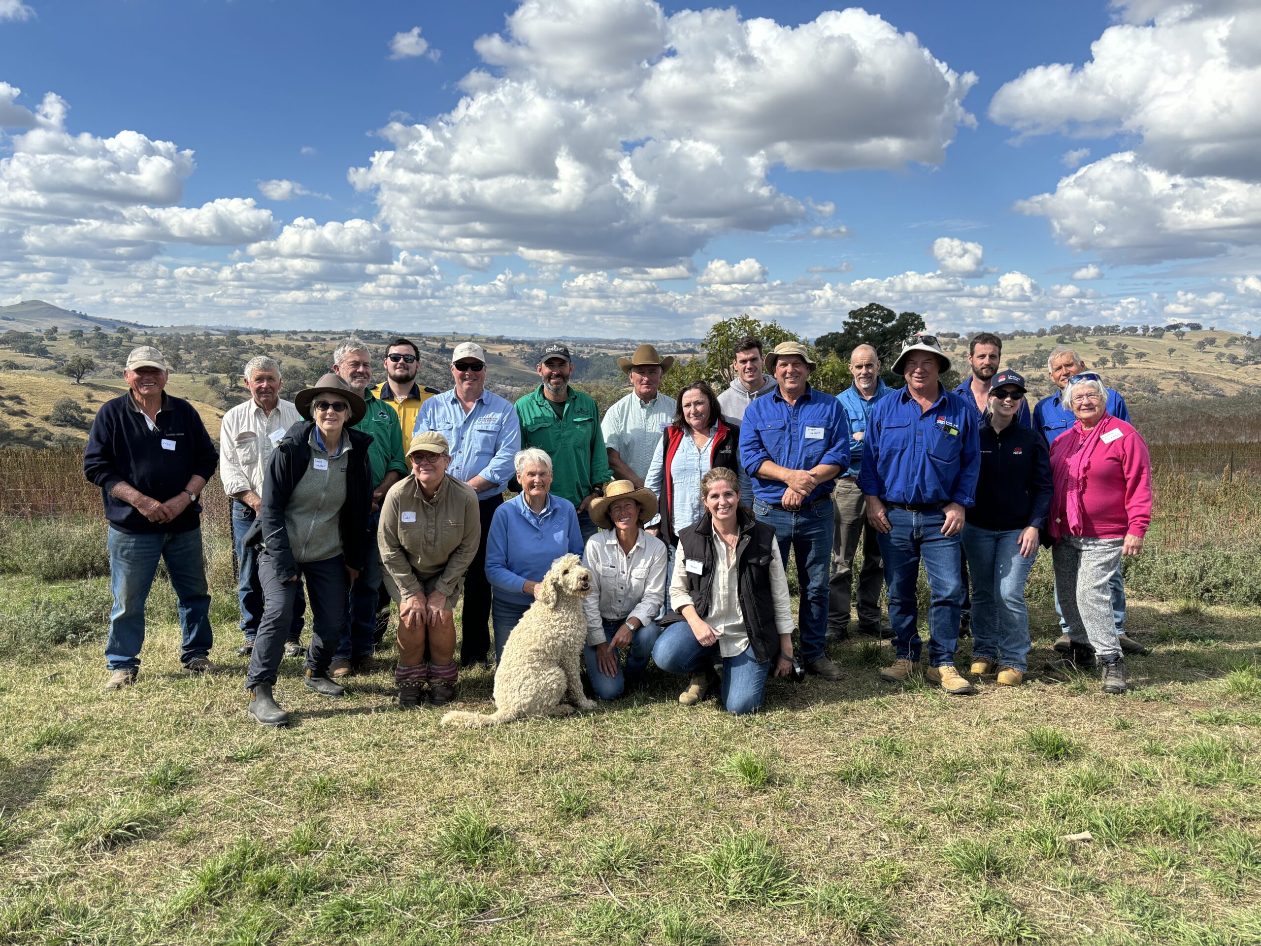 Grazing for Tomorrow: Empowering Graziers to Navigate Uncertainties ...