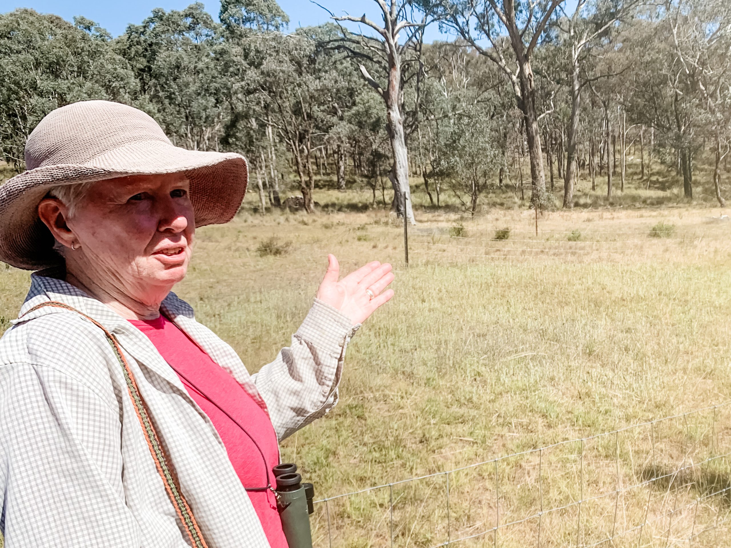 Sue McIntyre receives Yass Area Network Landcare John Betts Landcare ...