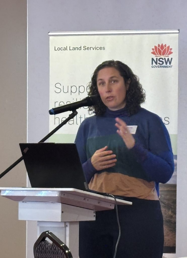 People, Projects and Possibility: Highlights from the 2025 South East ...