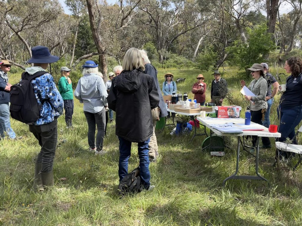 Below Your Knees: Exploring Our Native Grasslands - South East Landcare Inc