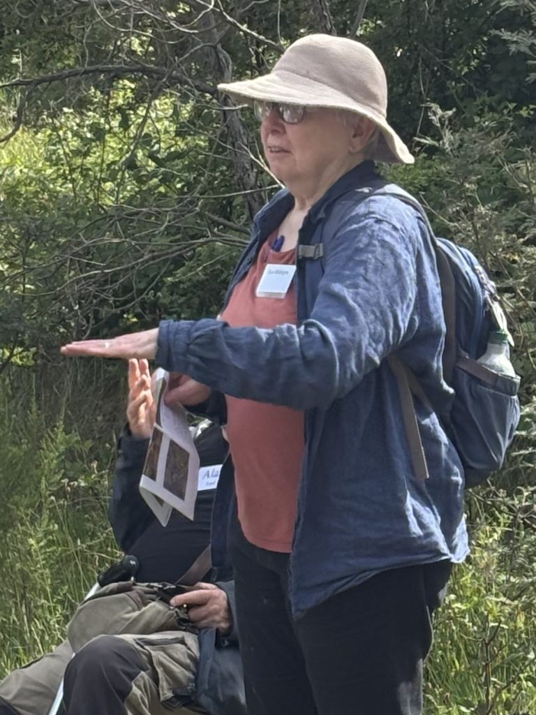 Below Your Knees: Exploring Our Native Grasslands - South East Landcare Inc